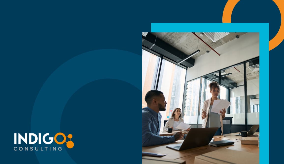 Our IAM Technology Partners - Indigo Consulting