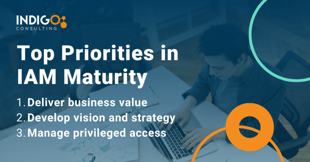 Maximizing Business Value with IAM Maturity Assessment | Indigo Insights